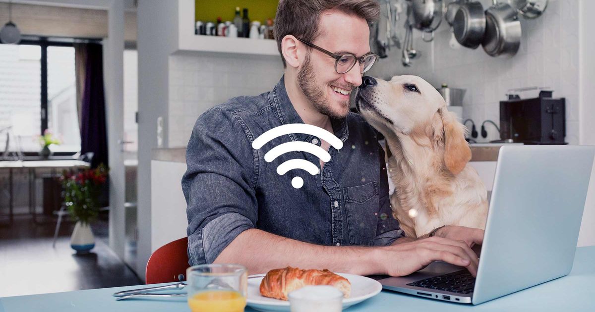 How to improve your Virgin Media WiFi signal | Virgin Media O2